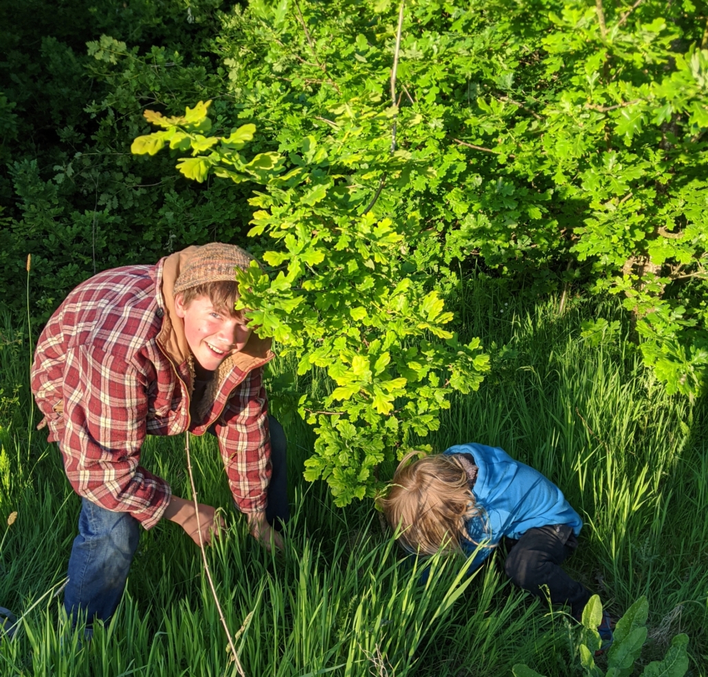Planting a children's forest